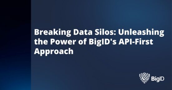 Unleashing the Power of BigID's API-First Approach | BigID