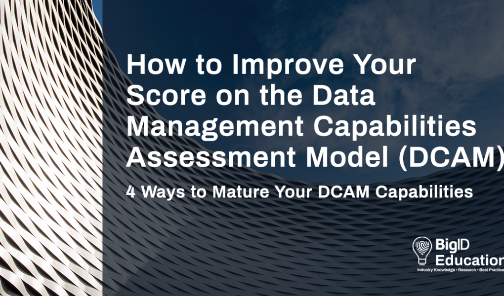 4 Ways to Mature Your DCAM Capabilities with BigID | BigID