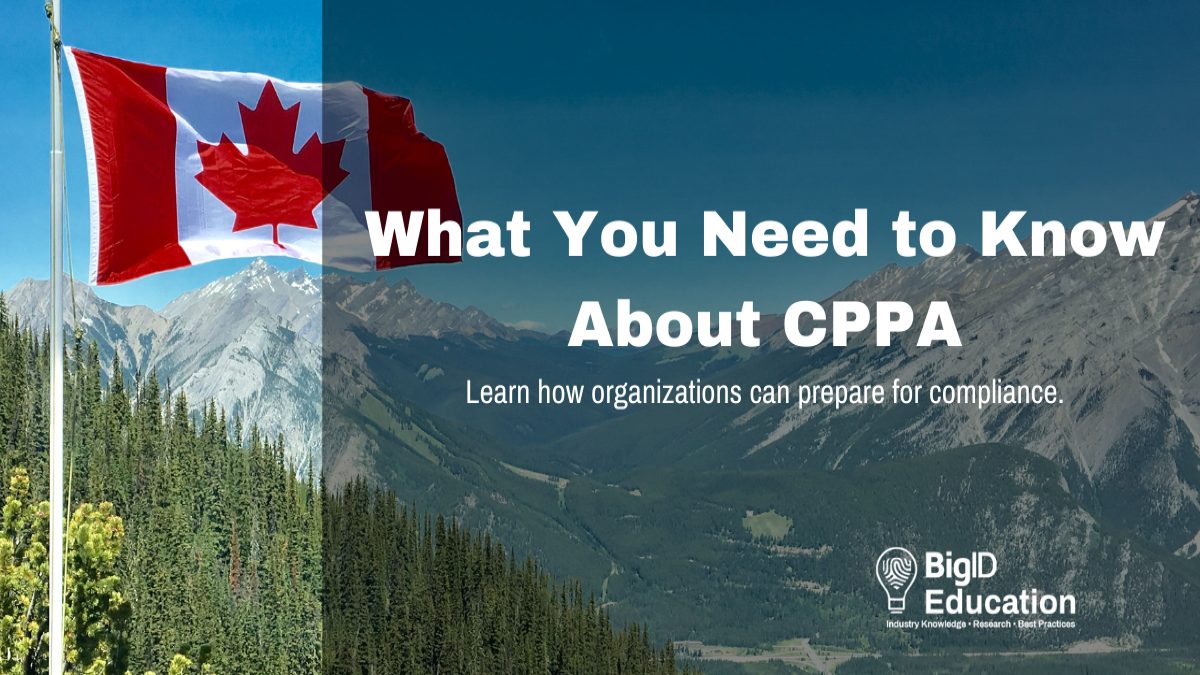 What You Need to Know About CPPA | BigID