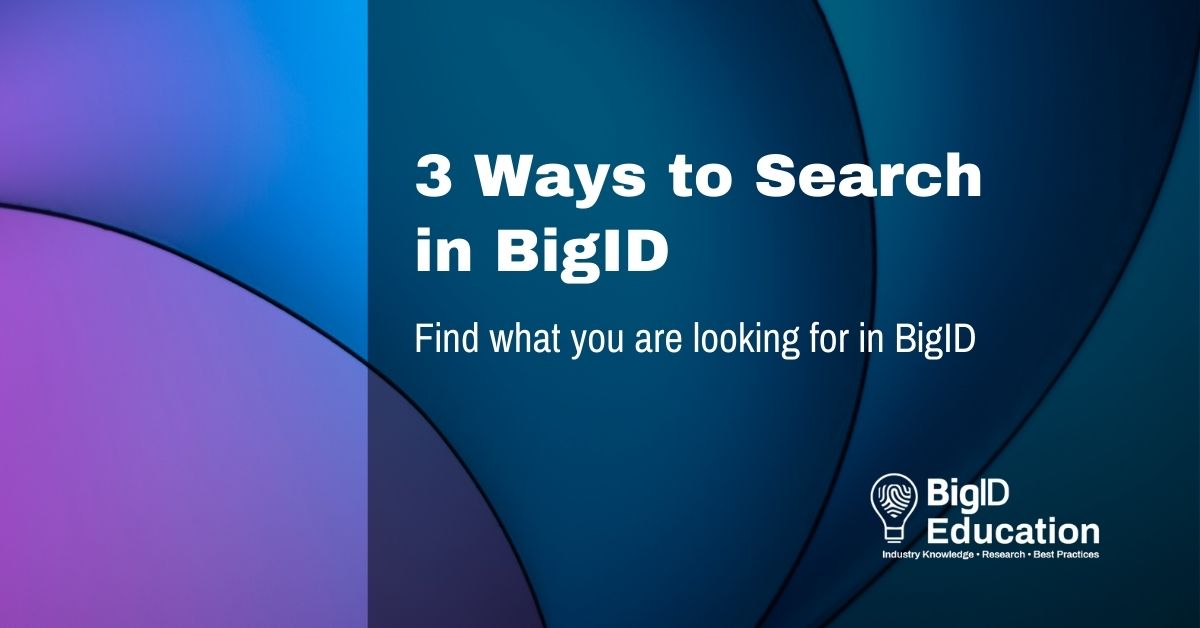3 Ways to Search in BigID | BigID