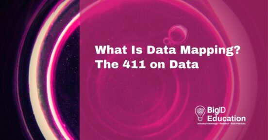 What Is Data Mapping? The 411 on Data | BigID
