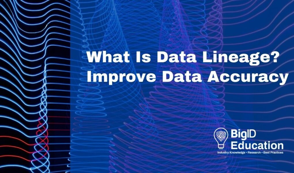 What Is Data Lineage? Improve Data Accuracy | BigID