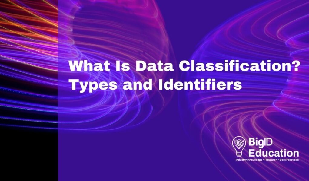 What Is Data Classification? Types and Identifiers | BigID