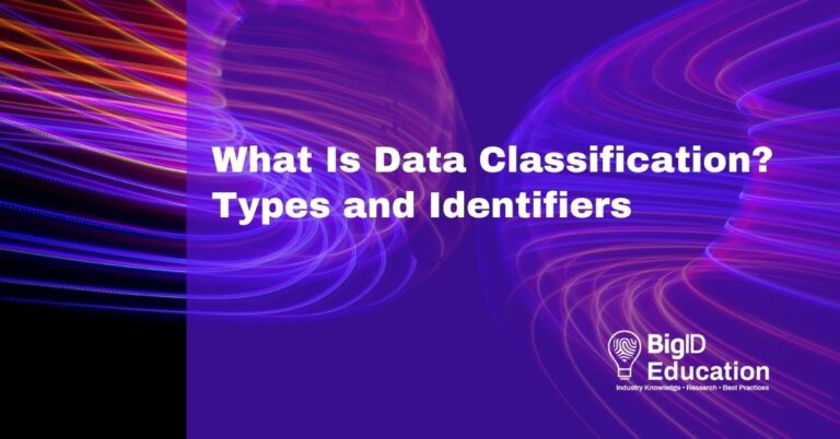 What Is Data Classification? Types and Identifiers | BigID