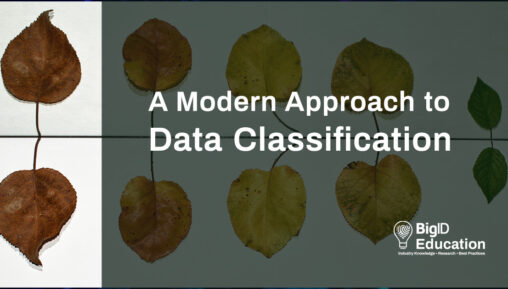 Data Discovery And Classification Tackling The Cisos Visibility