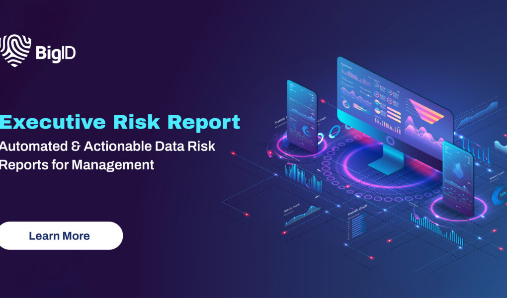 Automated & Actionable Data Risk Reports for Management | BigID