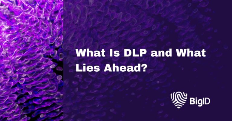 What Is DLP and What Lies Ahead? | BigID