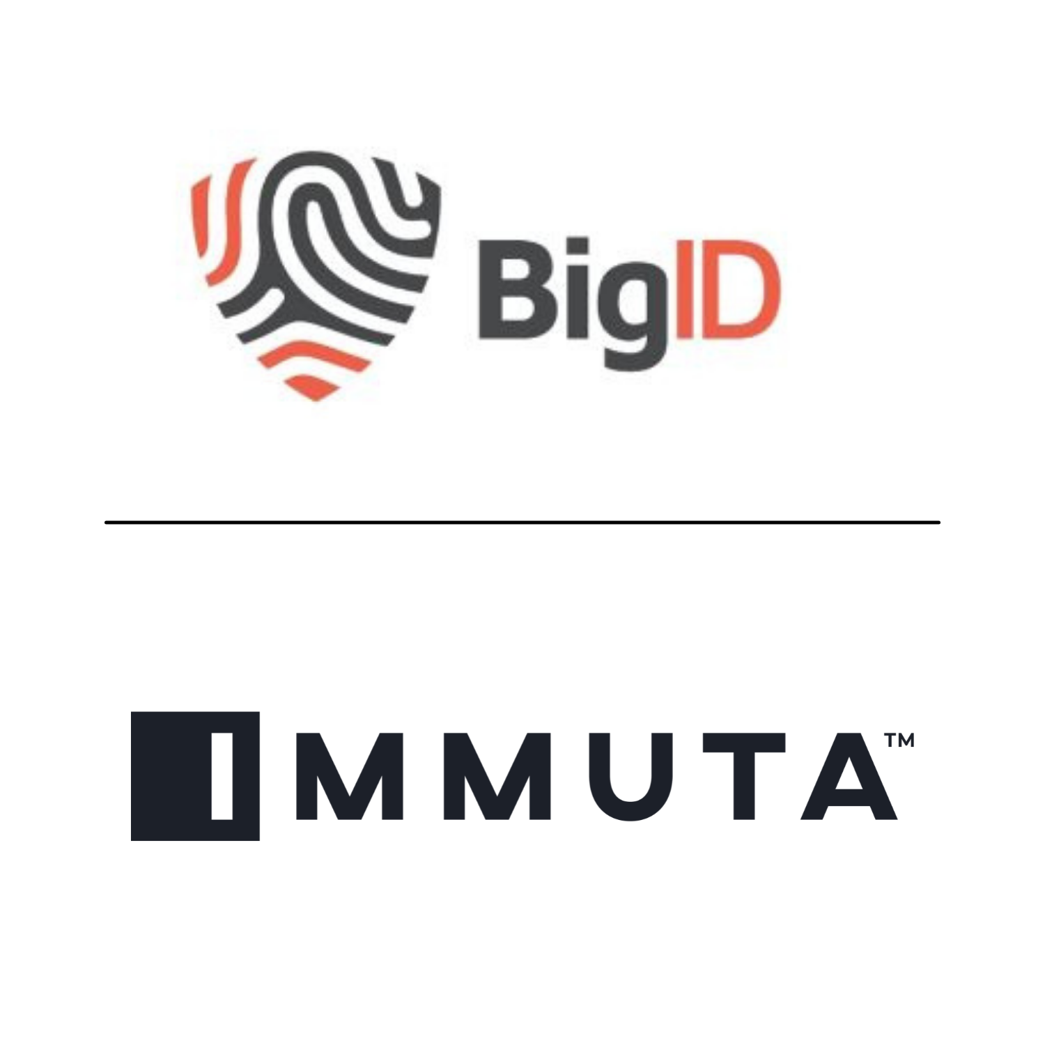 Immuta | BigID
