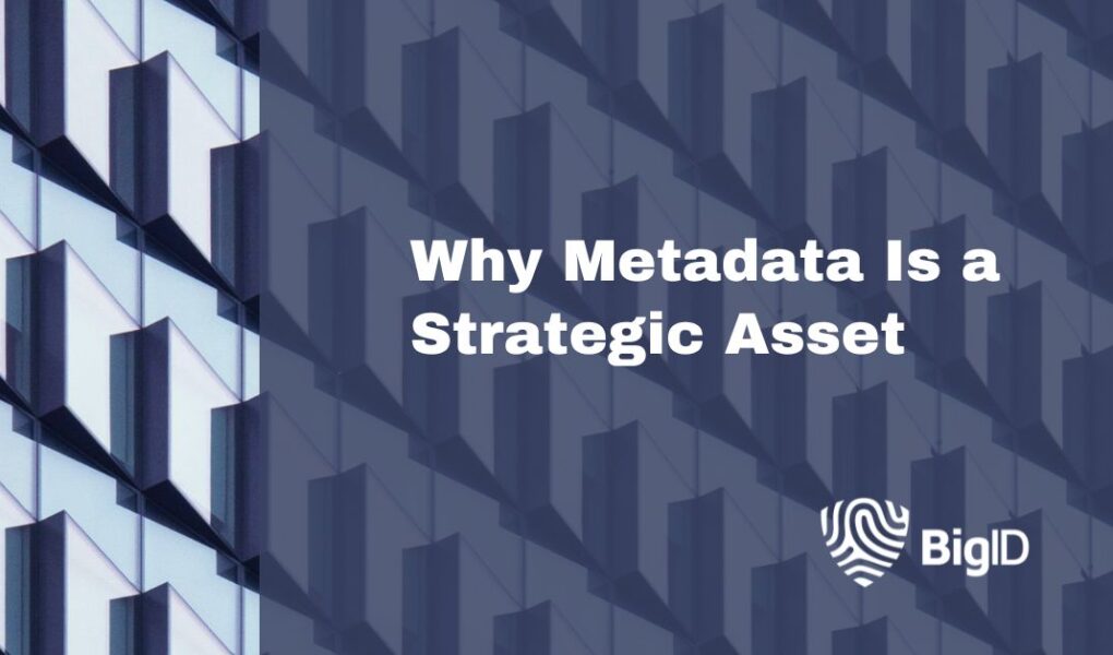 Why Metadata Is a Strategic Asset | BigID