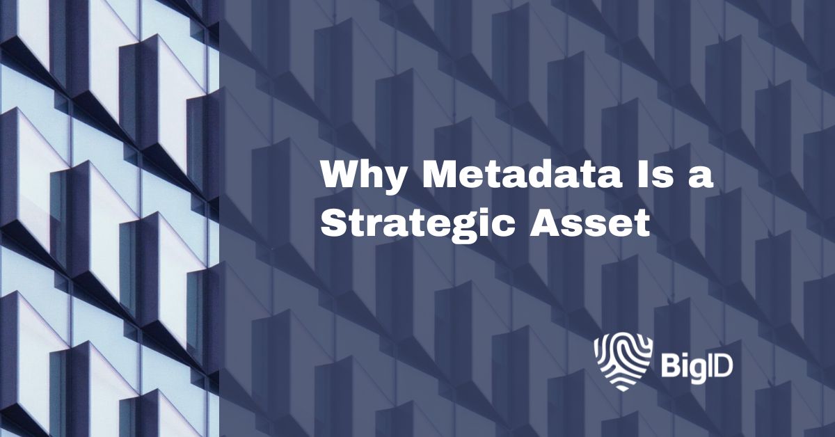 Why Metadata Is a Strategic Asset | BigID