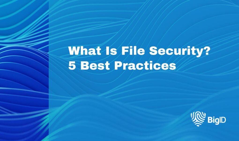 What Is File Security? 5 Best Practices | BigID
