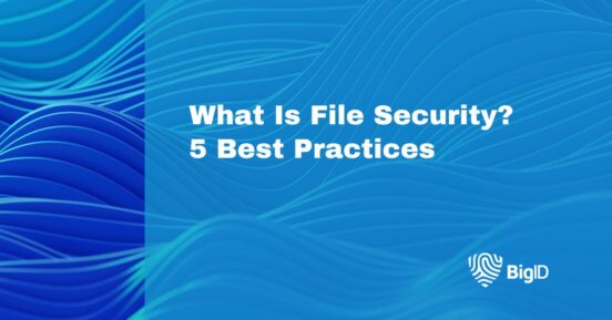 What Is File Security? 5 Best Practices | BigID