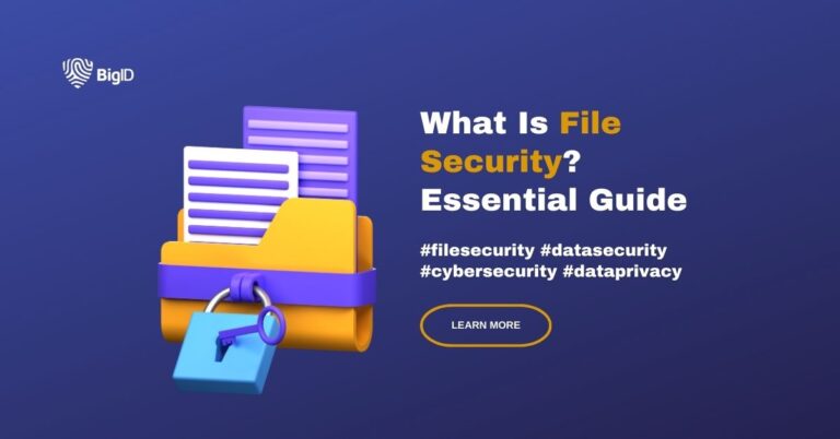 What Is File Security? Essential Guide | BigID