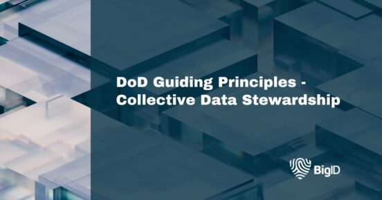 DoD Guiding Principles - Collective Data Stewardship | BigID