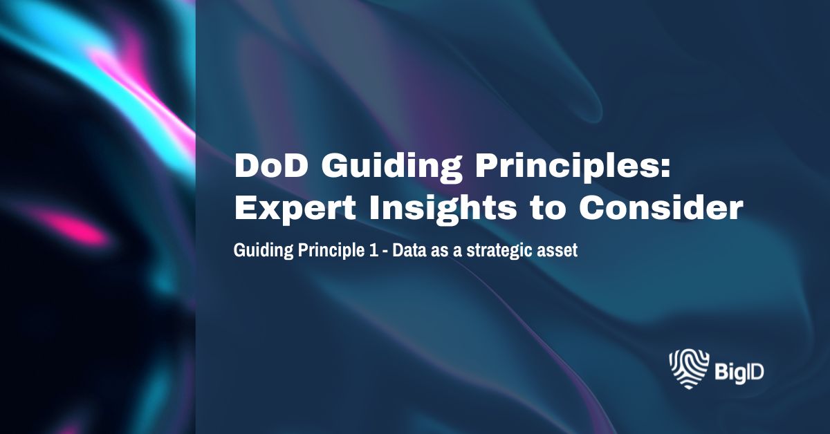 DoD Guiding Principles: Expert Insights to Consider | BigID