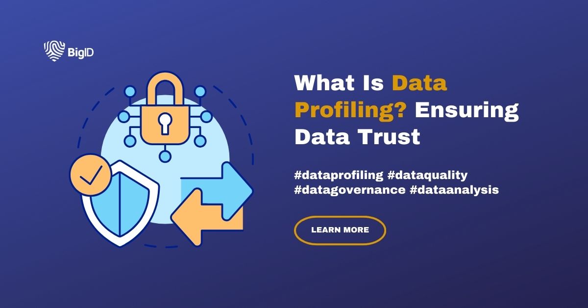 What Is Data Profiling? Ensuring Data Trust | BigID