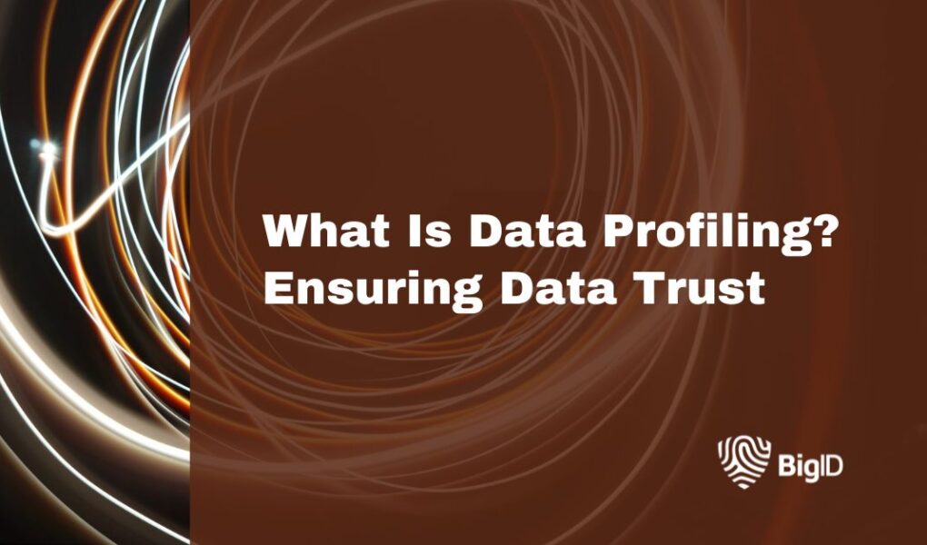 What Is Data Profiling? Ensuring Data Trust | BigID