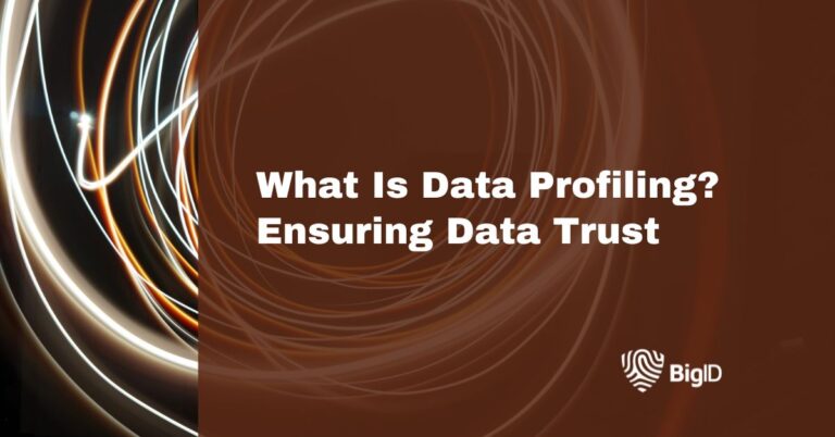 What Is Data Profiling? Ensuring Data Trust | BigID