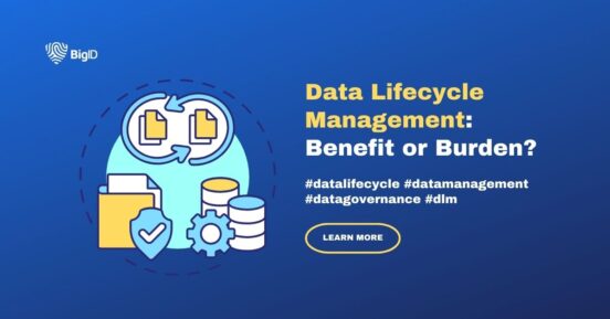 Data Lifecycle Management: Benefit or Burden? | BigID