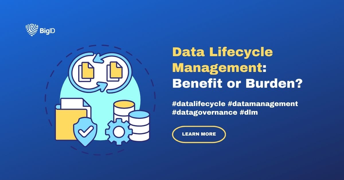 Data Lifecycle Management: Benefit or Burden? | BigID