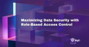 Maximizing Data Security | BigID