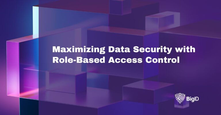 Maximizing Data Security | BigID