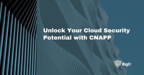 Unlock Your Cloud Security Potential with CNAPP | BigID