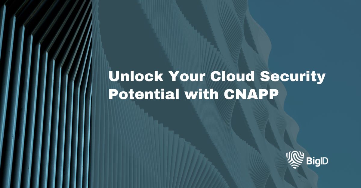 Unlock Your Cloud Security Potential with CNAPP | BigID