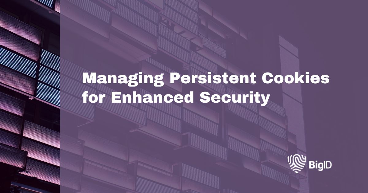 Managing Persistent Cookies For Enhanced Security Bigid