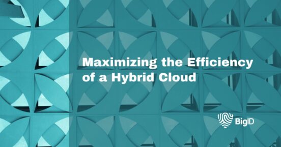 Maximizing the Efficiency of a Hybrid Cloud | BigID