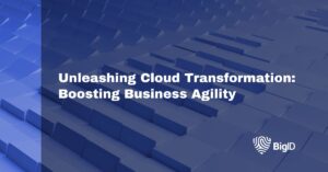 Unleashing Cloud Transformation | BigID