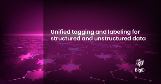 Tagging and labeling for structured and unstructured data | BigID