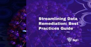 Streamlining Data Remediation: Best Practices Guide | BigID