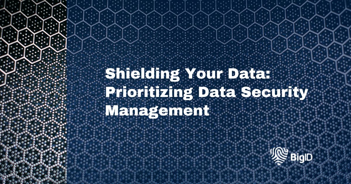Prioritizing Data Security Management Bigid