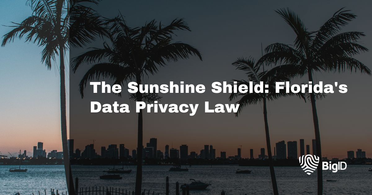 The Sunshine Shield: Florida's Data Privacy Law | BigID