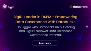 5 Steps for Effective Data Security Governance | BigID