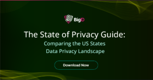 8 State Privacy Laws Going into Effect in 2025 | BigID