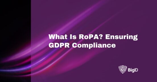 What Is RoPA? Ensuring GDPR Compliance | BigID