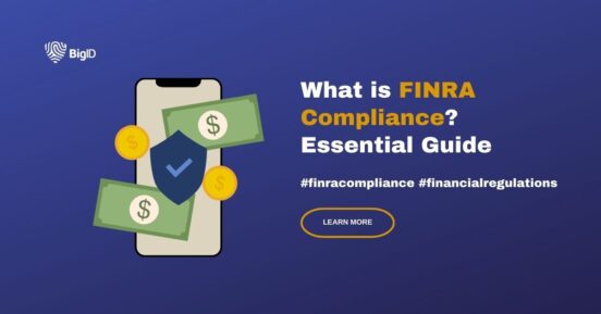 What Is FINRA Compliance? Essential Guide | BigID