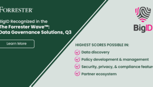 AI Governance Guide: Ensuring Responsible Innovation | BigID