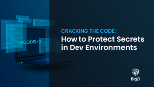 A Guide to Types of Sensitive Information | BigID