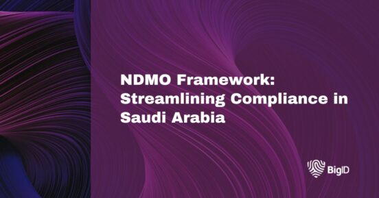 Navigating NDMO Requirements | BigID