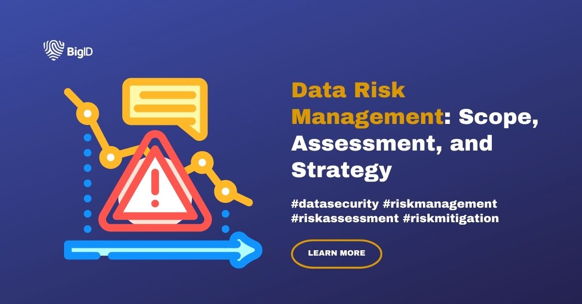 Data Risk Management: Scope, Assessment, and Strategy | BigID
