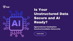 Elevating Trust: AI Security in Financial Services | BigID