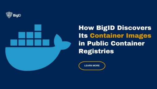 Modernizing Data Strategies for the Public Sector | BigID Modernizing Data Strategies for the Public Sector | BigID