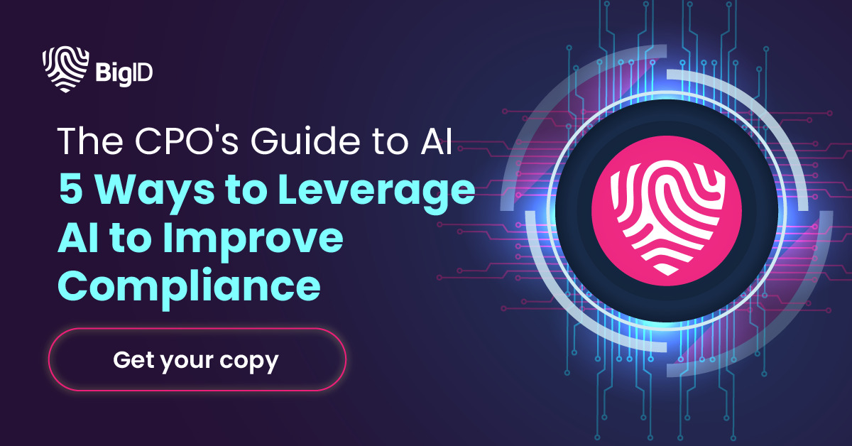 What Is PII Data? A Comprehensive Guide | BigID