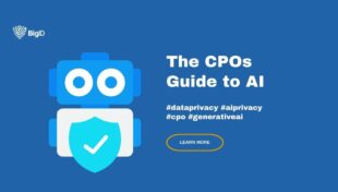 What Is RoPA? Ensuring GDPR Compliance | BigID