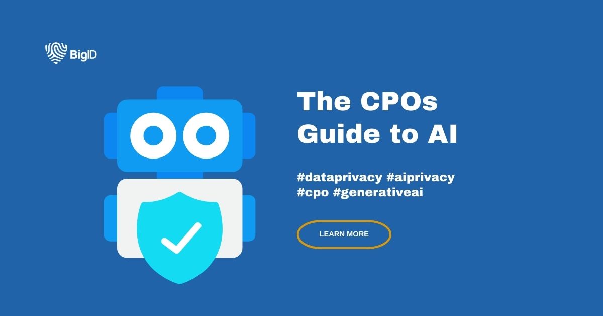 The CPOs Guide to AI | BigID