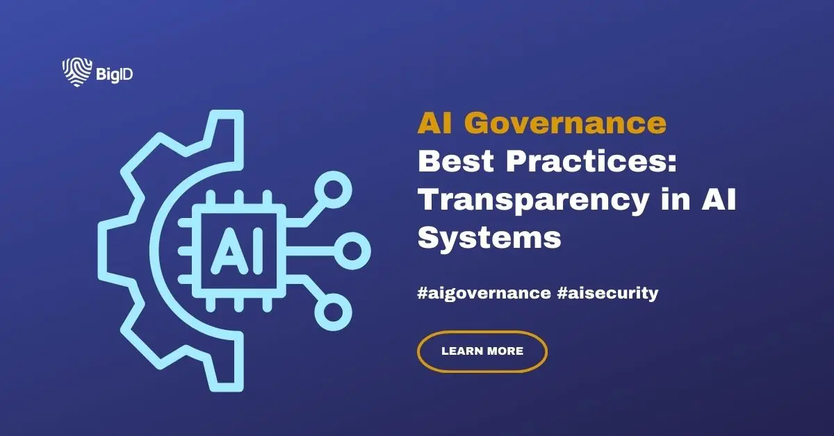 AI Governance Best Practices: Transparency in AI Systems | BigID