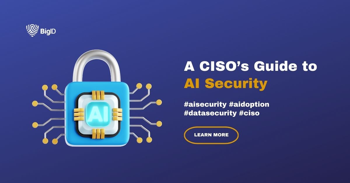 A CISO’s Guide to AI Security | BigID